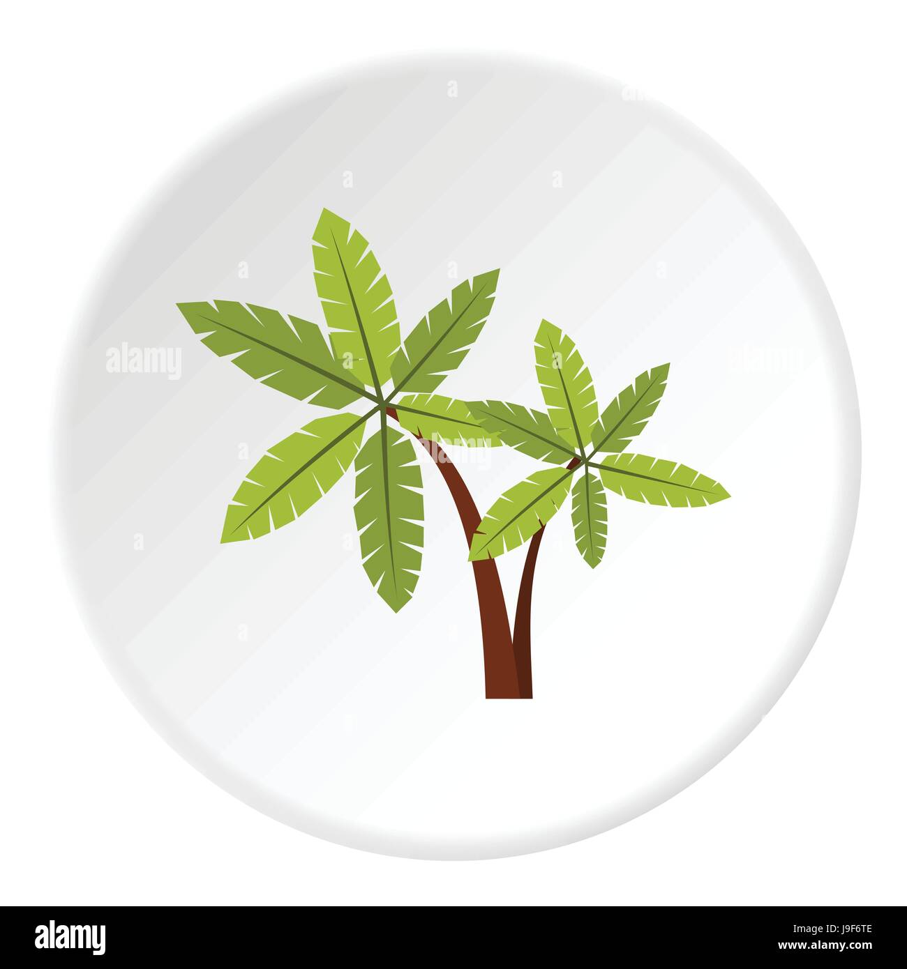 Palma icon, flat style Stock Vector Image & Art - Alamy