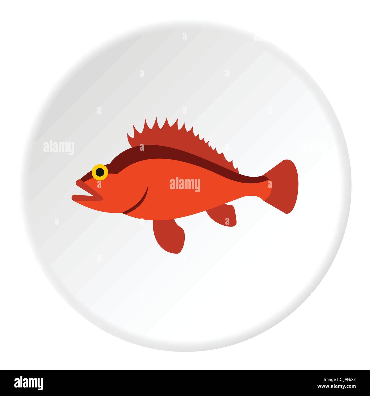 Ruff sea Cut Out Stock Images & Pictures - Alamy