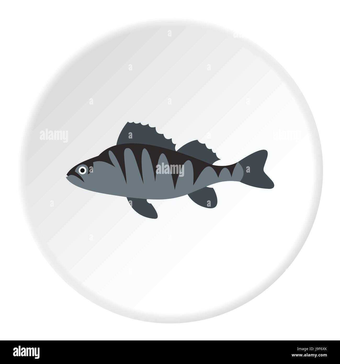 Types fish scales Stock Vector Images - Alamy