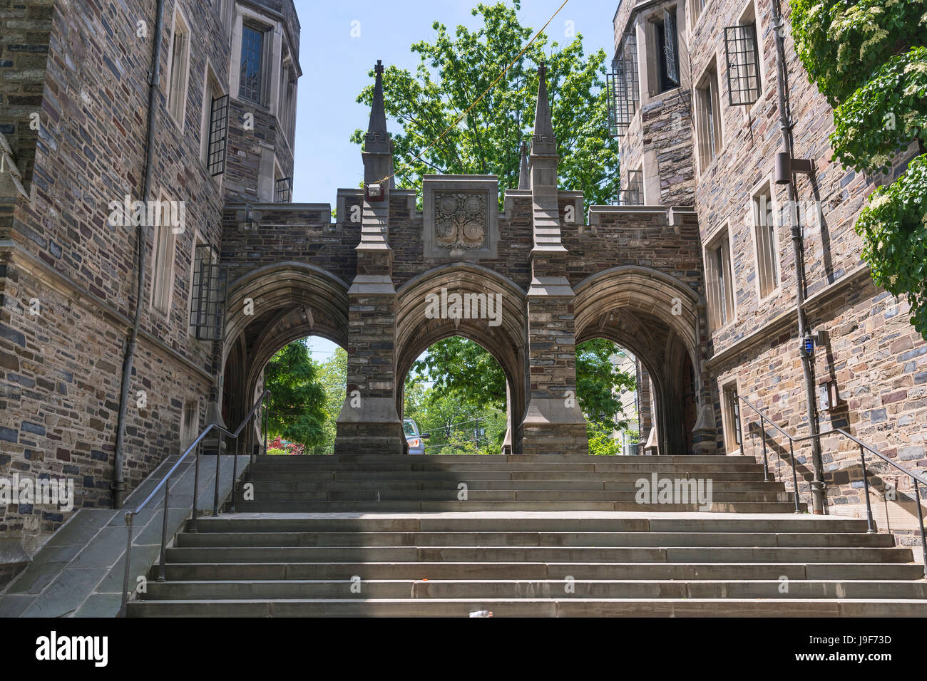 New Jersey Famous University at Maria Morris blog