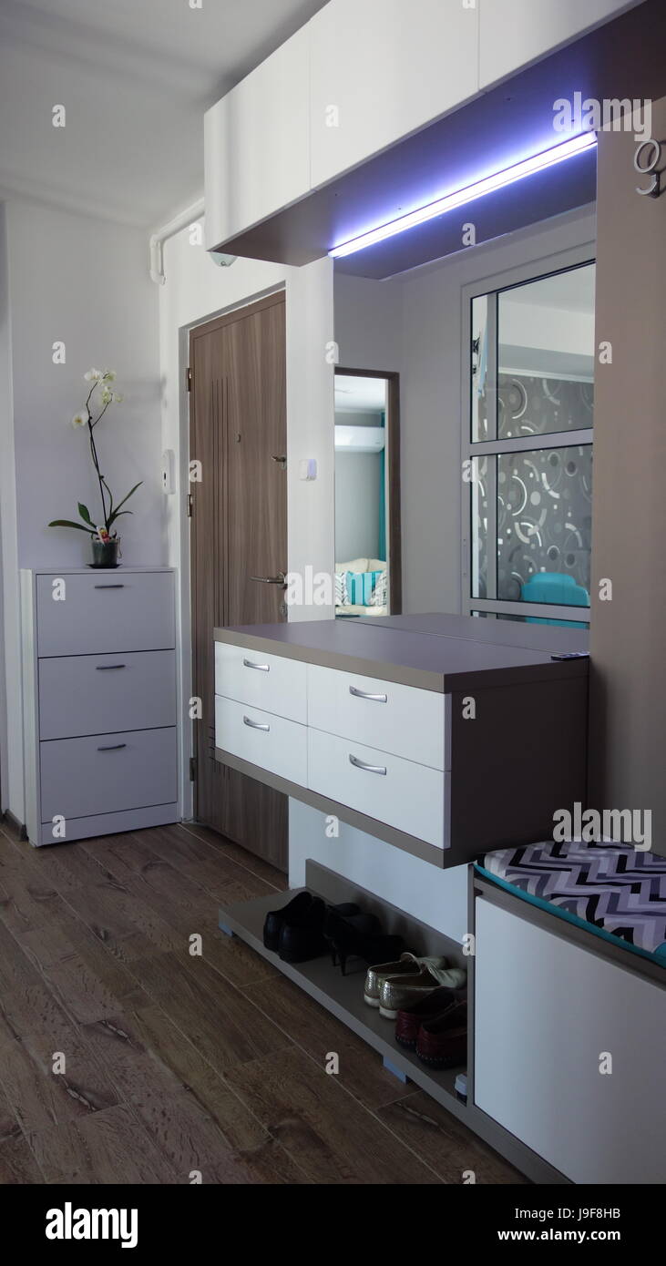 Small apartment living room design idea, leather couch, dressing room ...