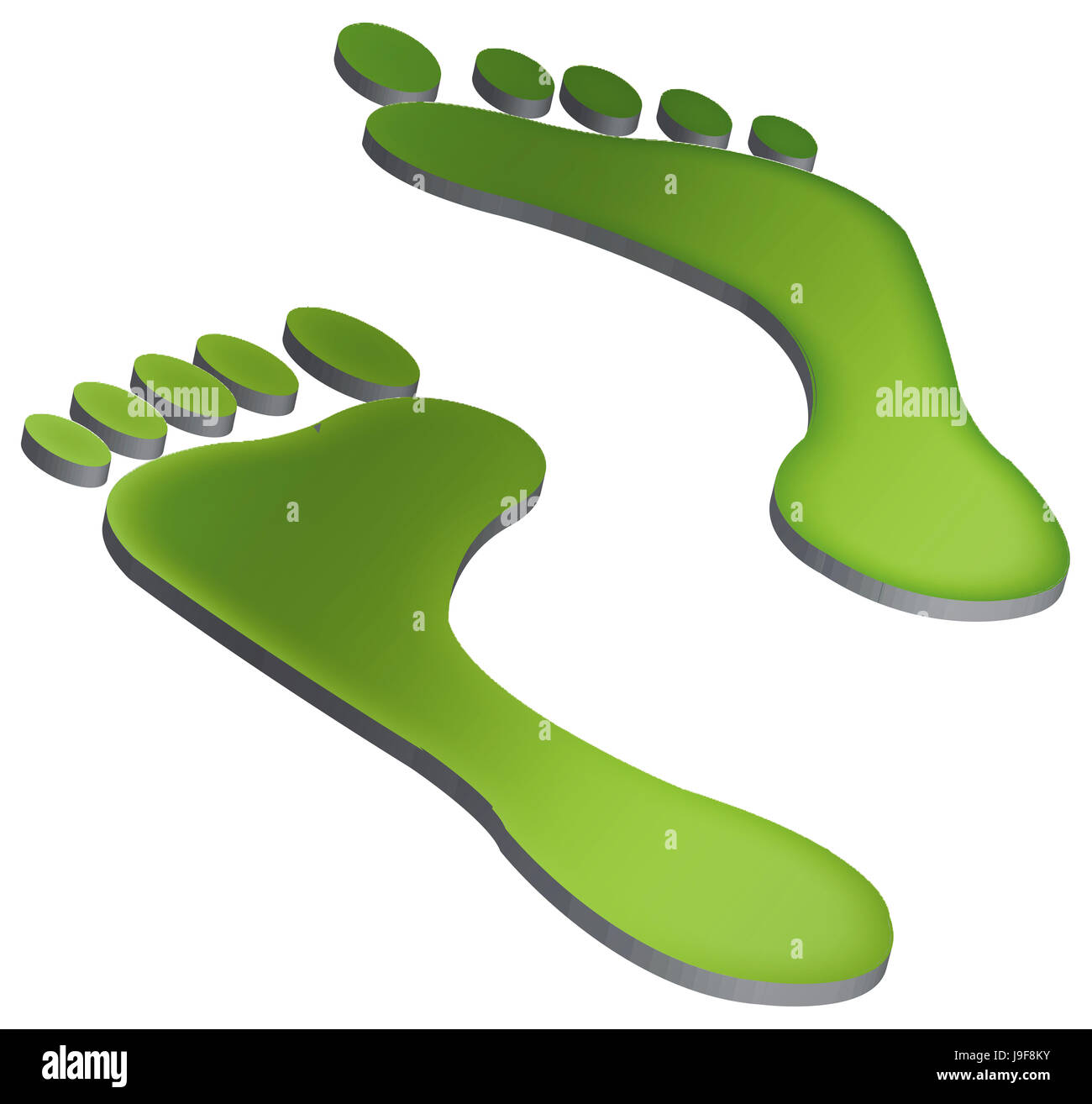 environment, enviroment, sustainability, nature, walk, go, going ...