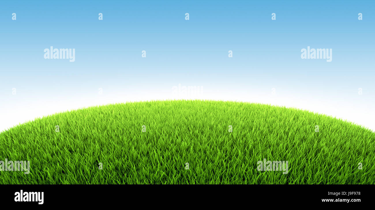 field, summer, summerly, spring, landscape, scenery, countryside ...