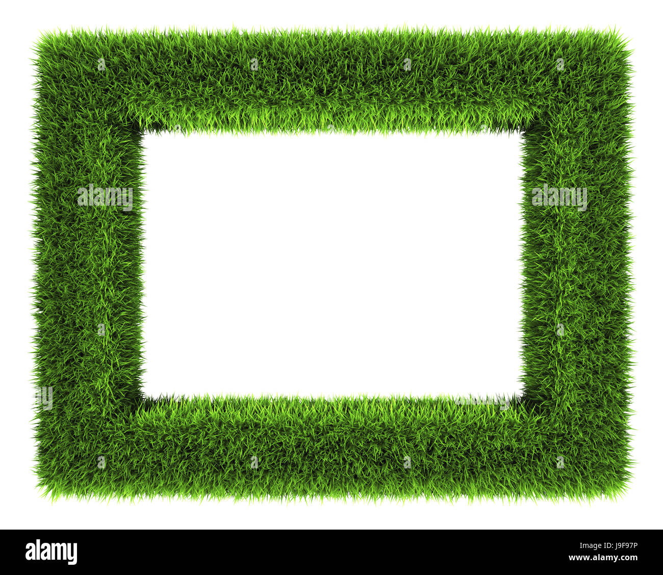 field, spring, frame, meadow, grass, lawn, green, framework, border ...