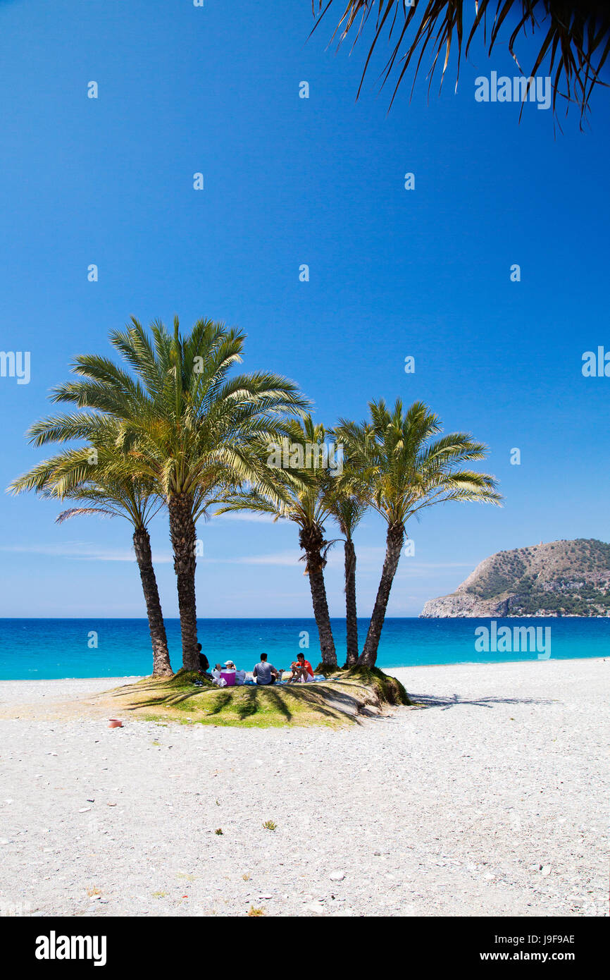 People relaxing on a palm tree mound on a beach in Paseo de Andres ...