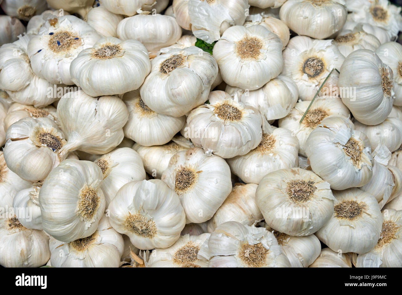 food, aliment, toe, vegetable, tuber, onion, garlic, food, aliment ...