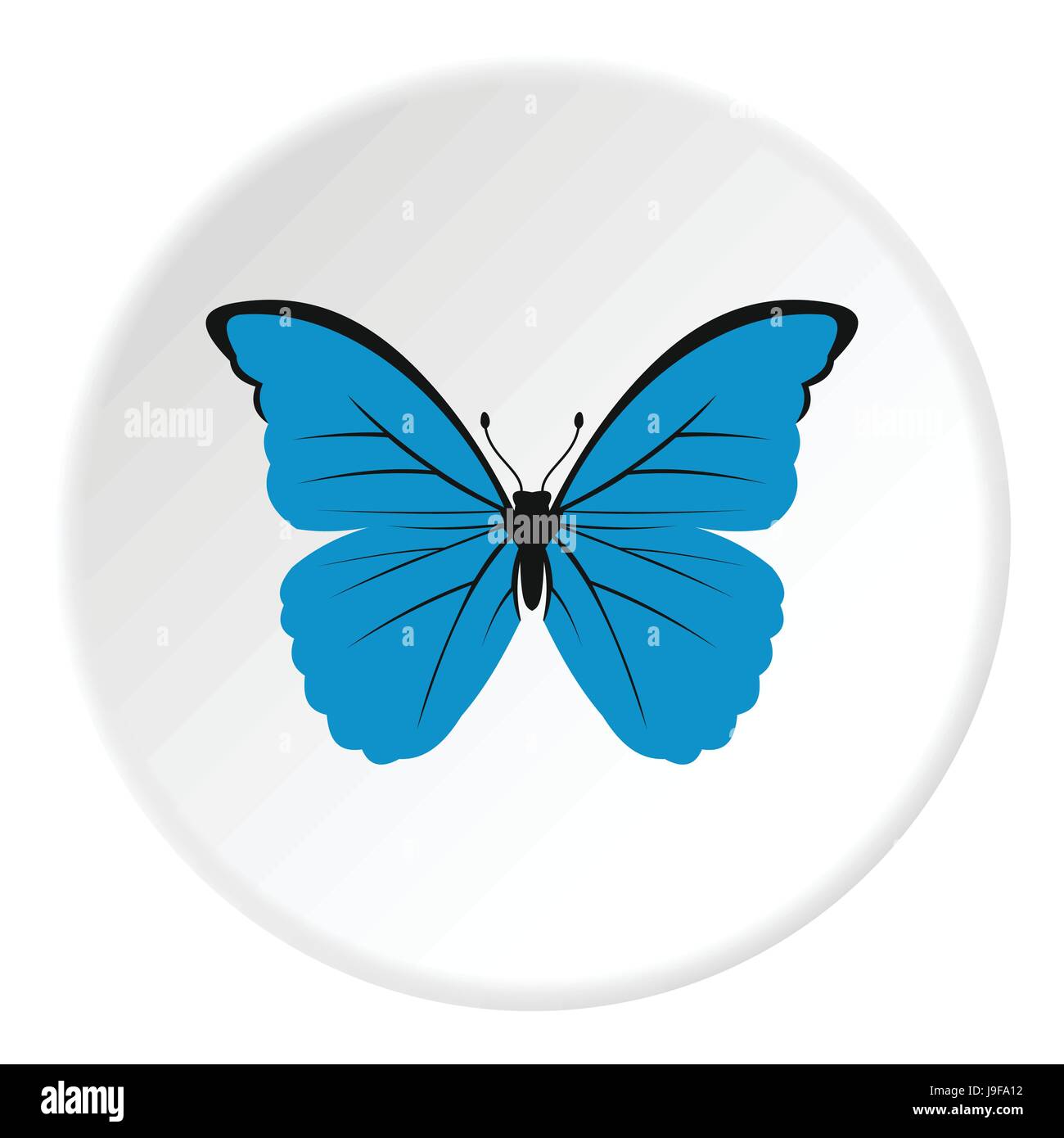Blue butterfly icon, flat style Stock Vector Image & Art - Alamy