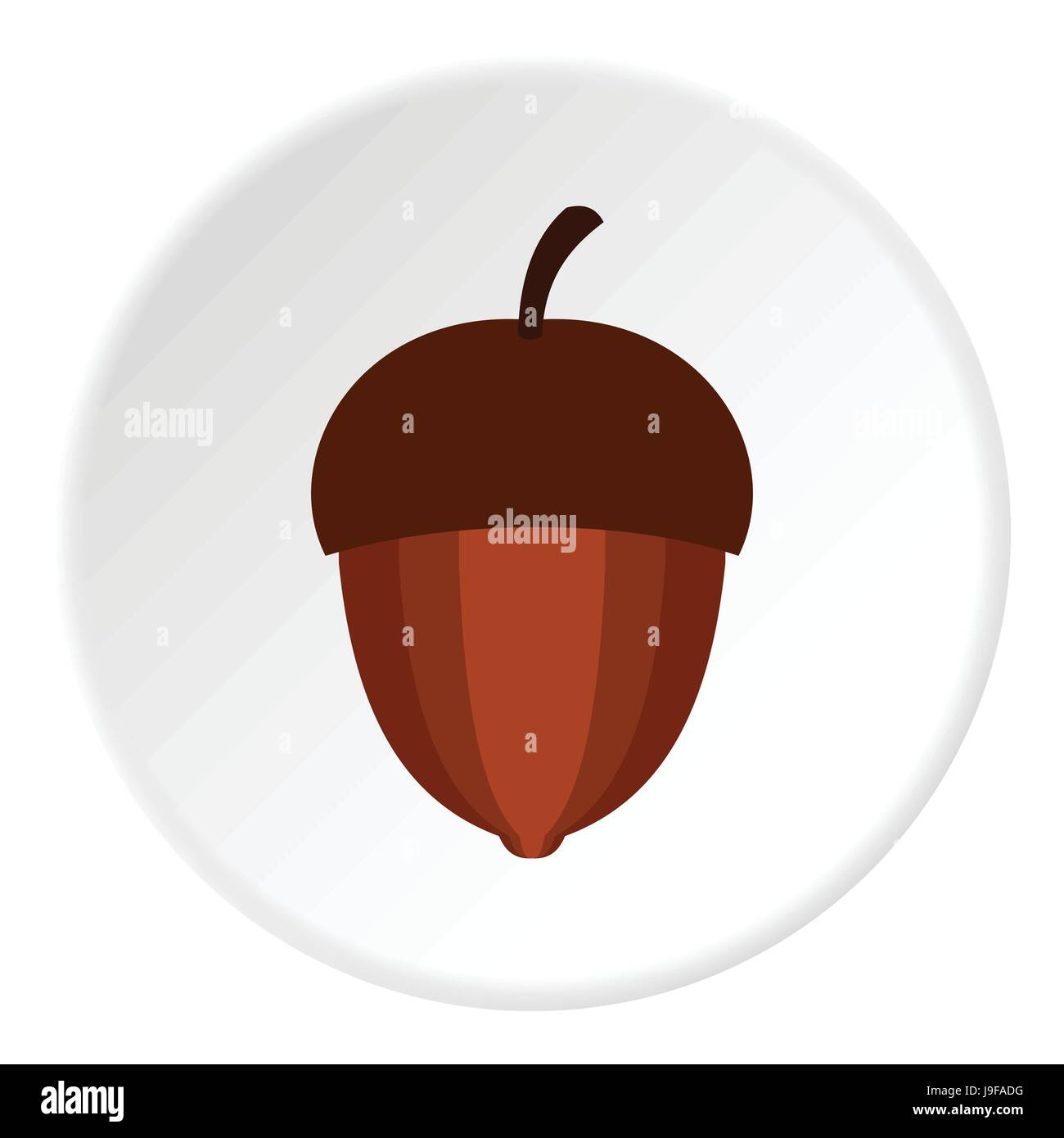 Acorn Symbol High Resolution Stock Photography and Images - Alamy