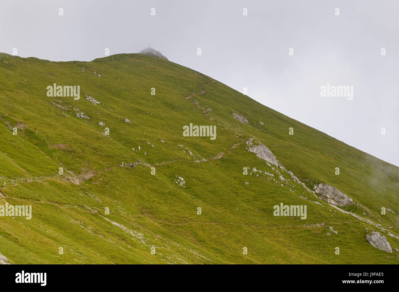 humans, human beings, people, folk, persons, human, human being, alps ...