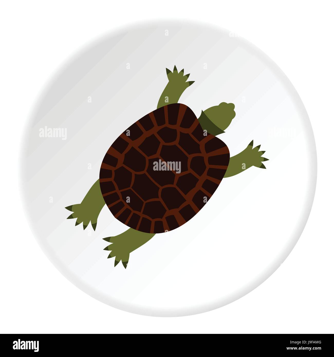 Turtle shell neck head Stock Vector Images - Alamy