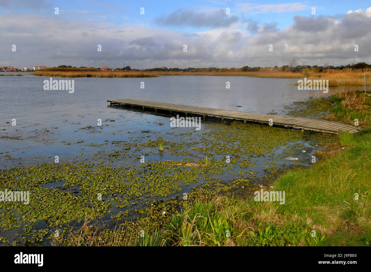 environment, enviroment, summer, summerly, reflection, sunlight, stream ...