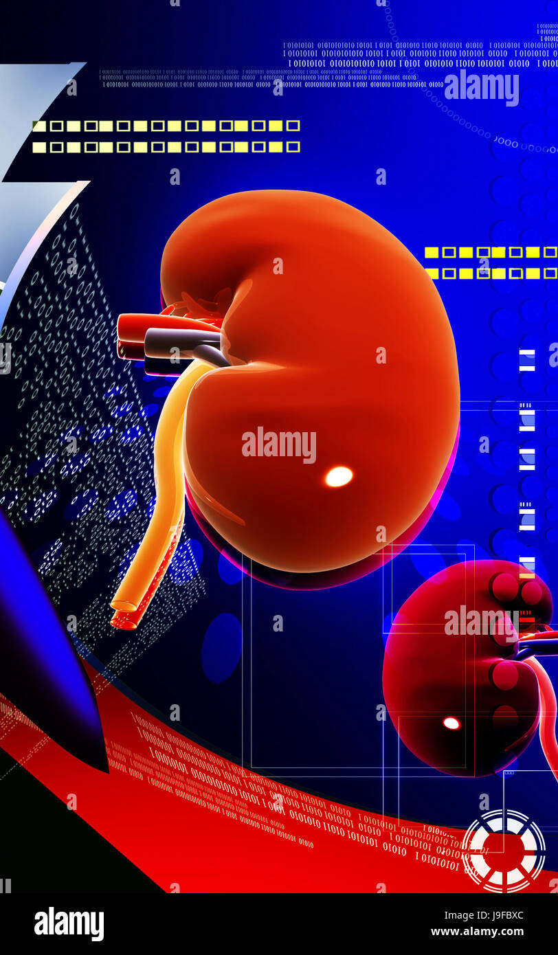 object, education, health, medicinally, medical, graphics, colour ...