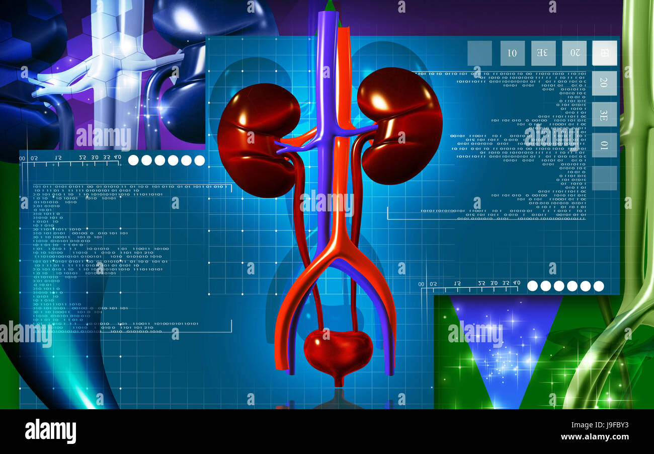 object, education, health, medicinally, medical, graphics, colour ...