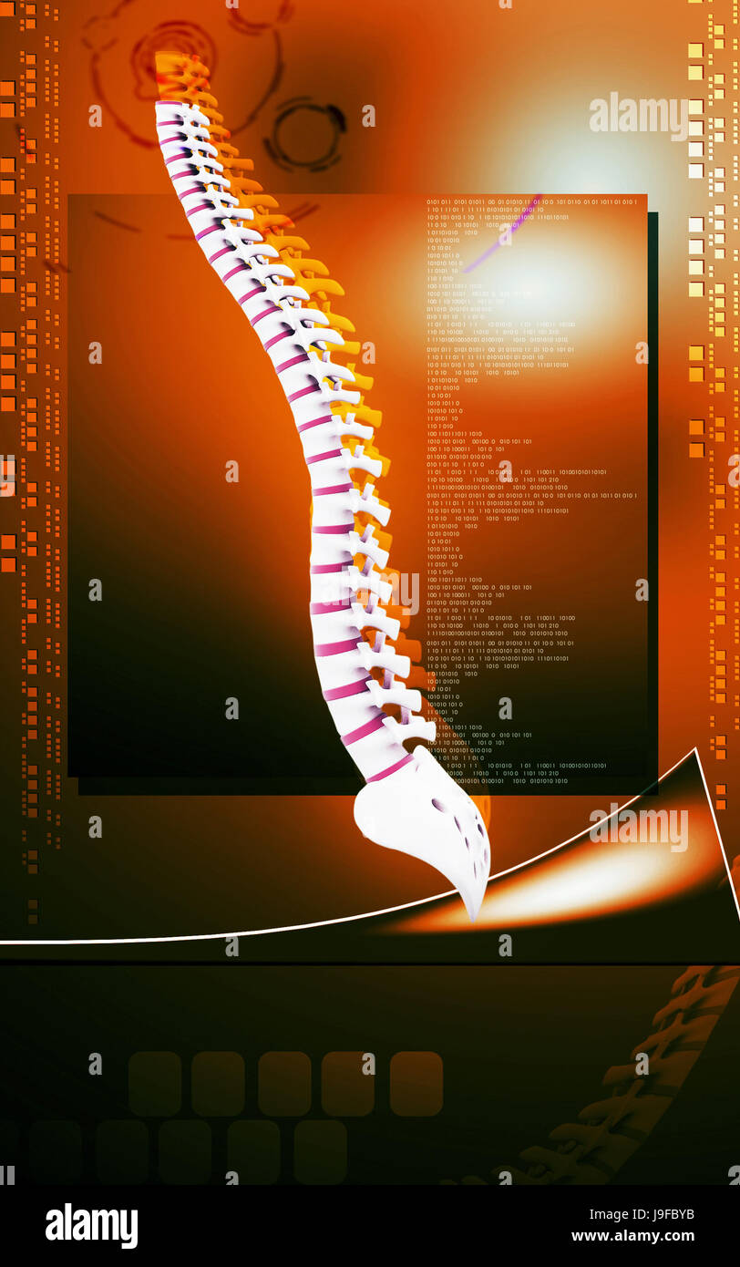 health, medicinally, medical, graphics, colour, illustration, stretch ...