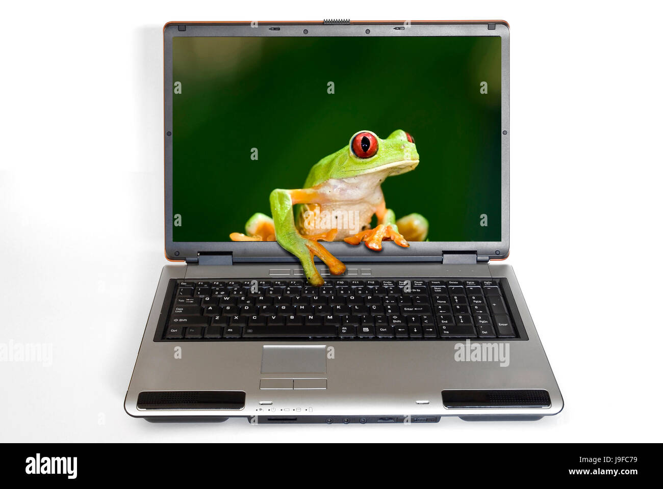 laptop, notebook, computers, computer, type, keyboard, model, build ...