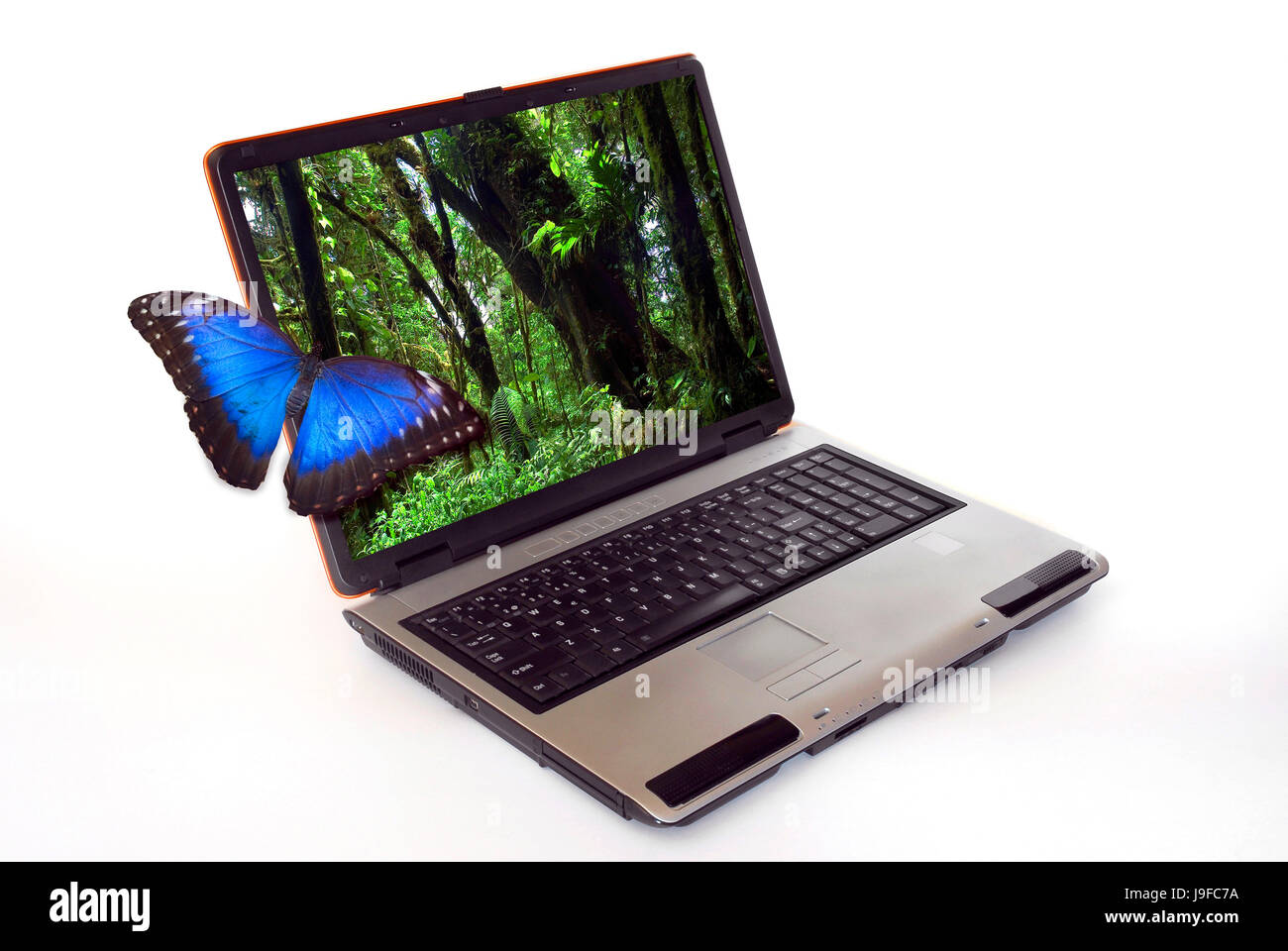 laptop, notebook, computers, computer, type, keyboard, model, build ...