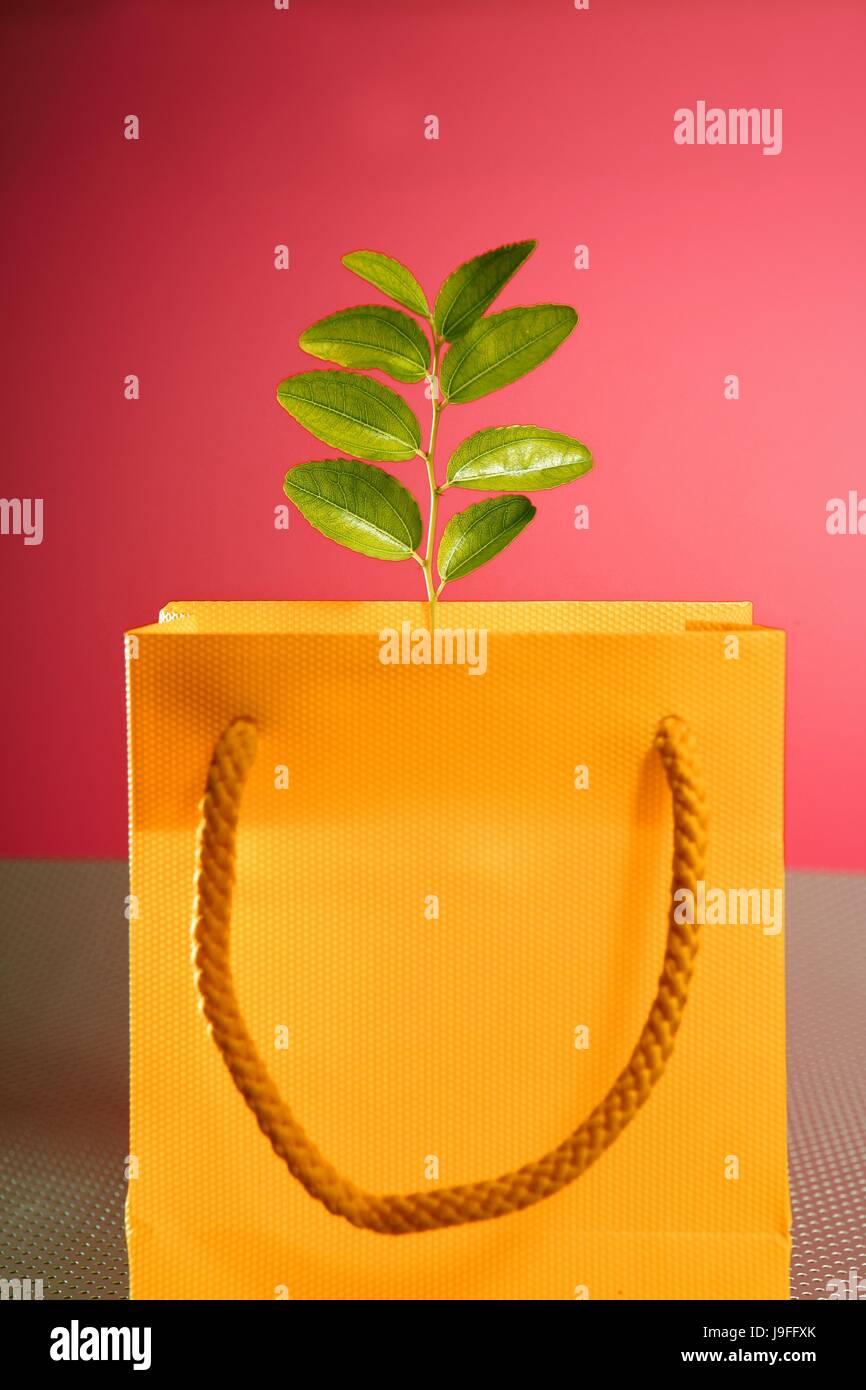 close, present, leaf, object, isolated, model, design, project, concept ...