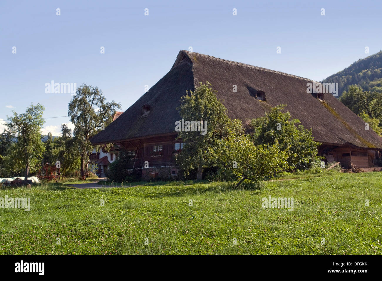 hill, black forest, farmhouse, meadow, forest, house, building ...