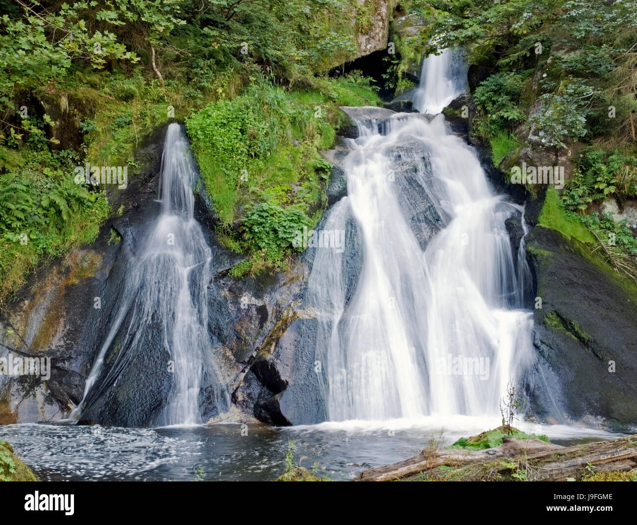 waterfall, biotop, stairs, leaf, tree, flow, stone, conservation of ...
