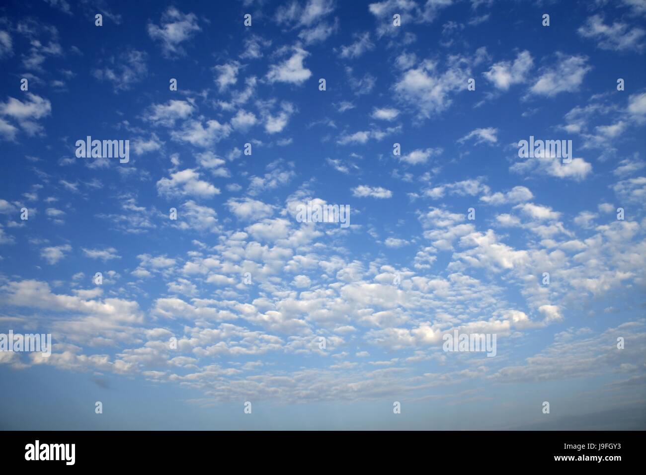 blue, beautiful, beauteously, nice, environment, enviroment, colour ...