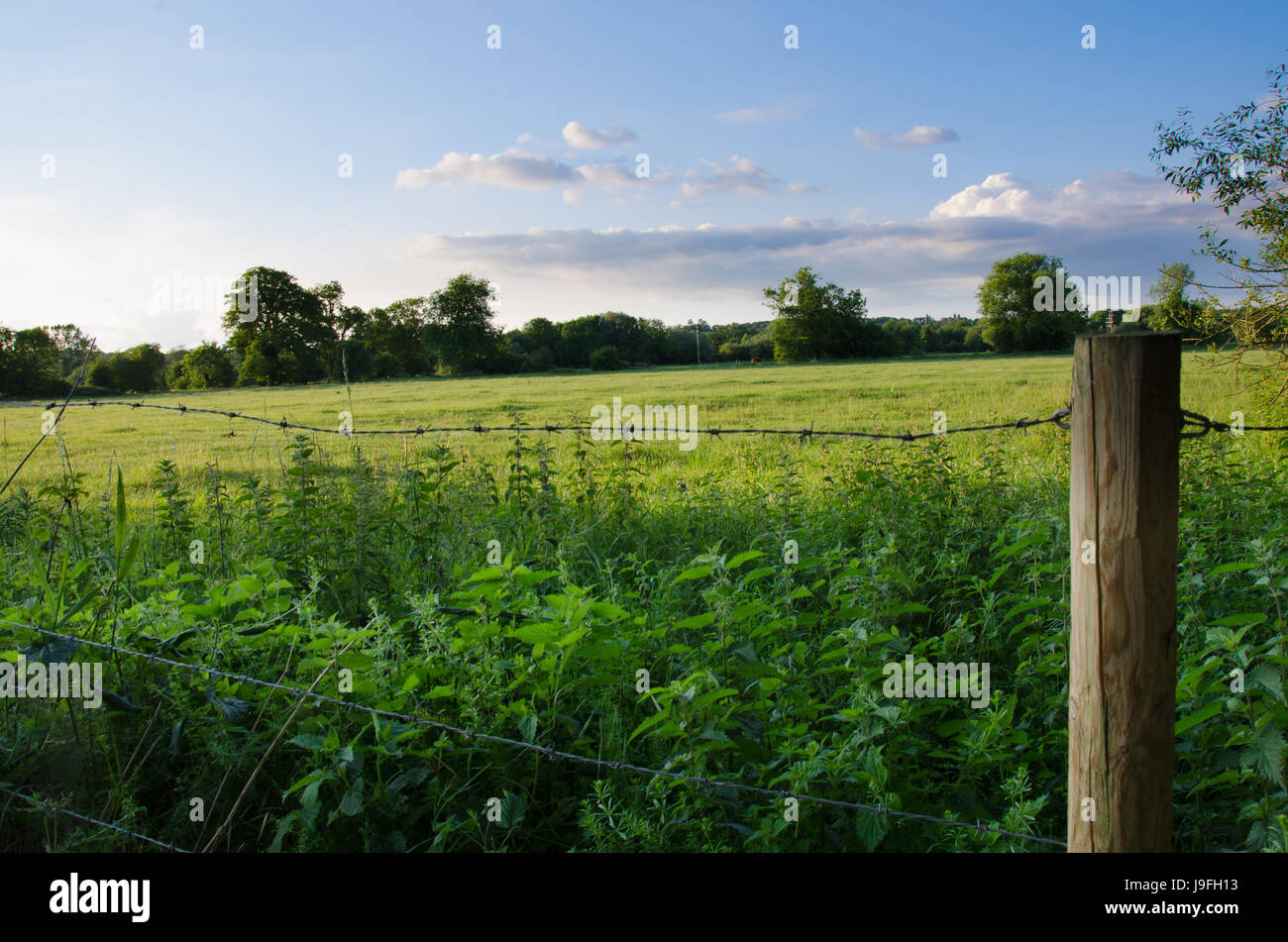 Looking across a field on the outskirts of Reading, Berkshire during ...