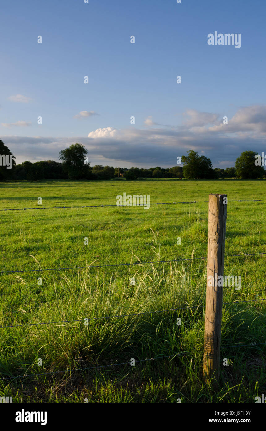 Looking across a field on the outskirts of Reading, Berkshire during ...