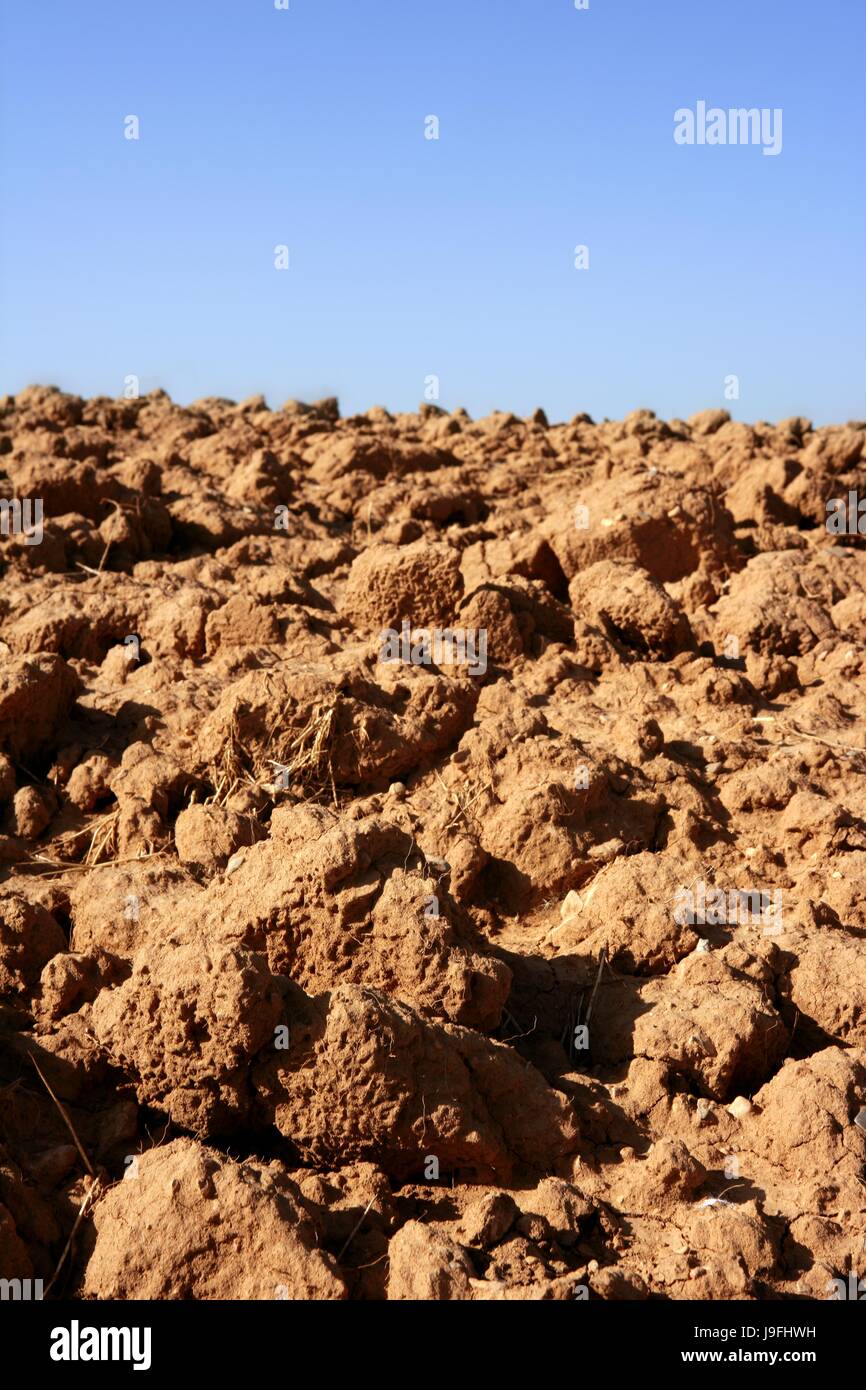 food, aliment, agricultural, environment, enviroment, colour, desert ...