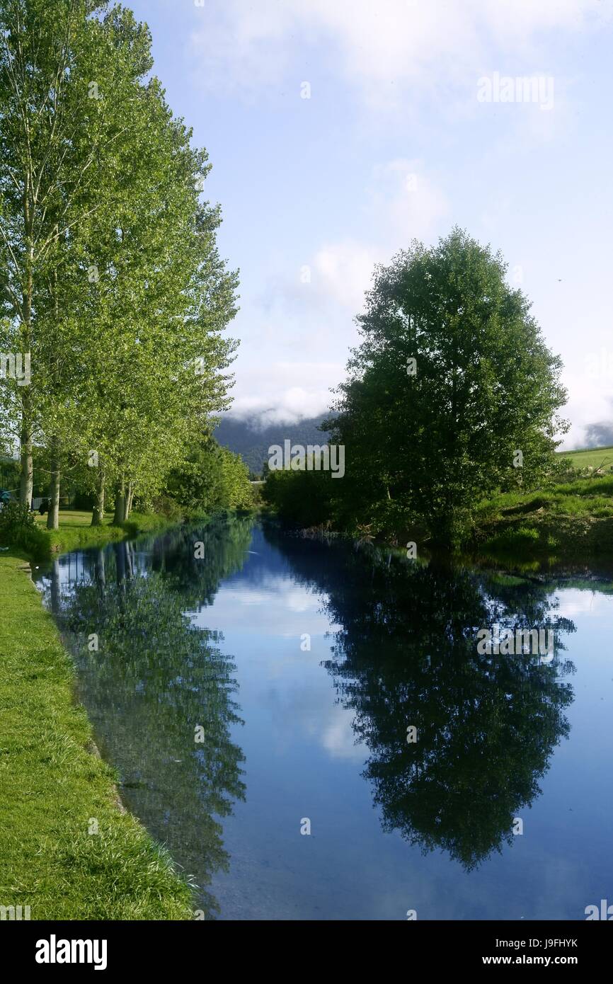 blue, beautiful, beauteously, nice, leaf, environment, enviroment ...