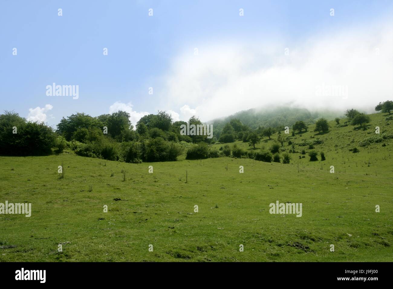 blue, beautiful, beauteously, nice, environment, enviroment, colour ...