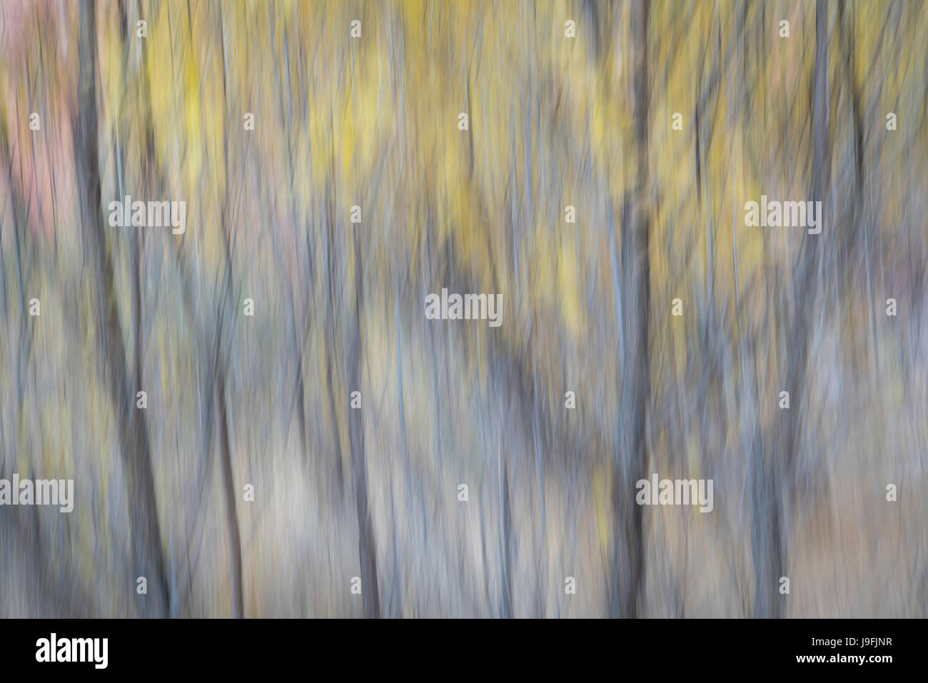 nature motion blur abstract in pastel colors - trees in fall Stock ...