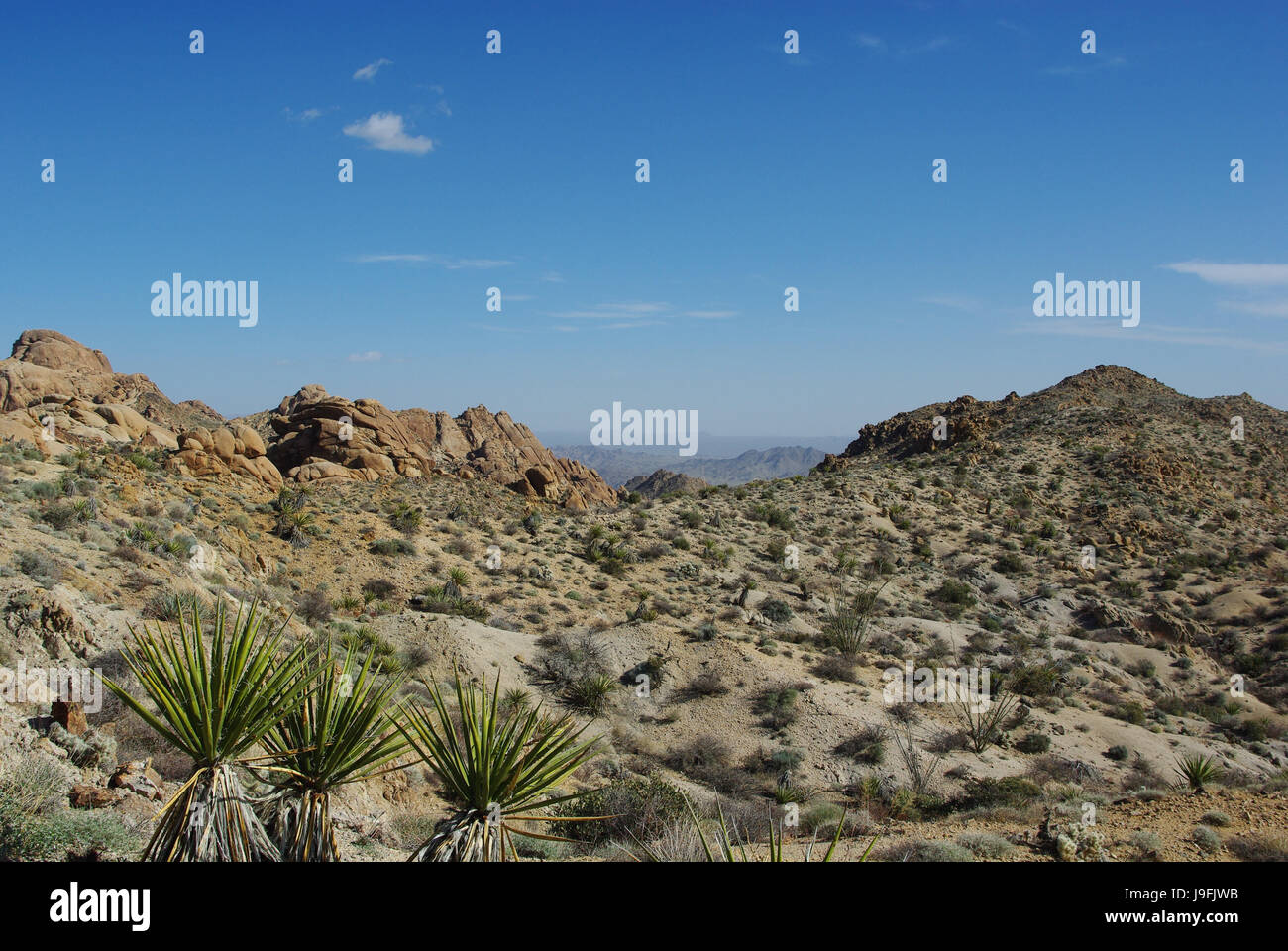 desert, wasteland, formation, rock, yucca, plant, blue, desert ...