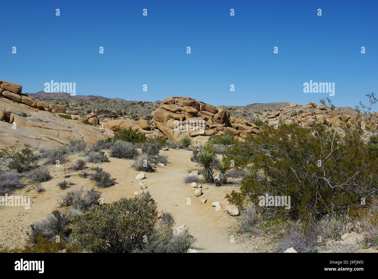 blue, desert, wasteland, formation, rock, shrub, yucca, firmament, sky ...