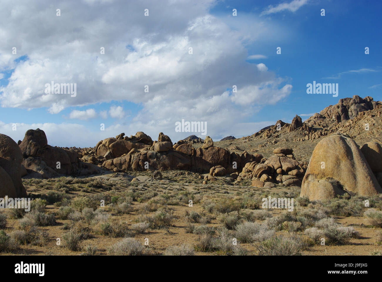 desert, wasteland, formation, rock, shrub, firmament, sky, blue, desert ...