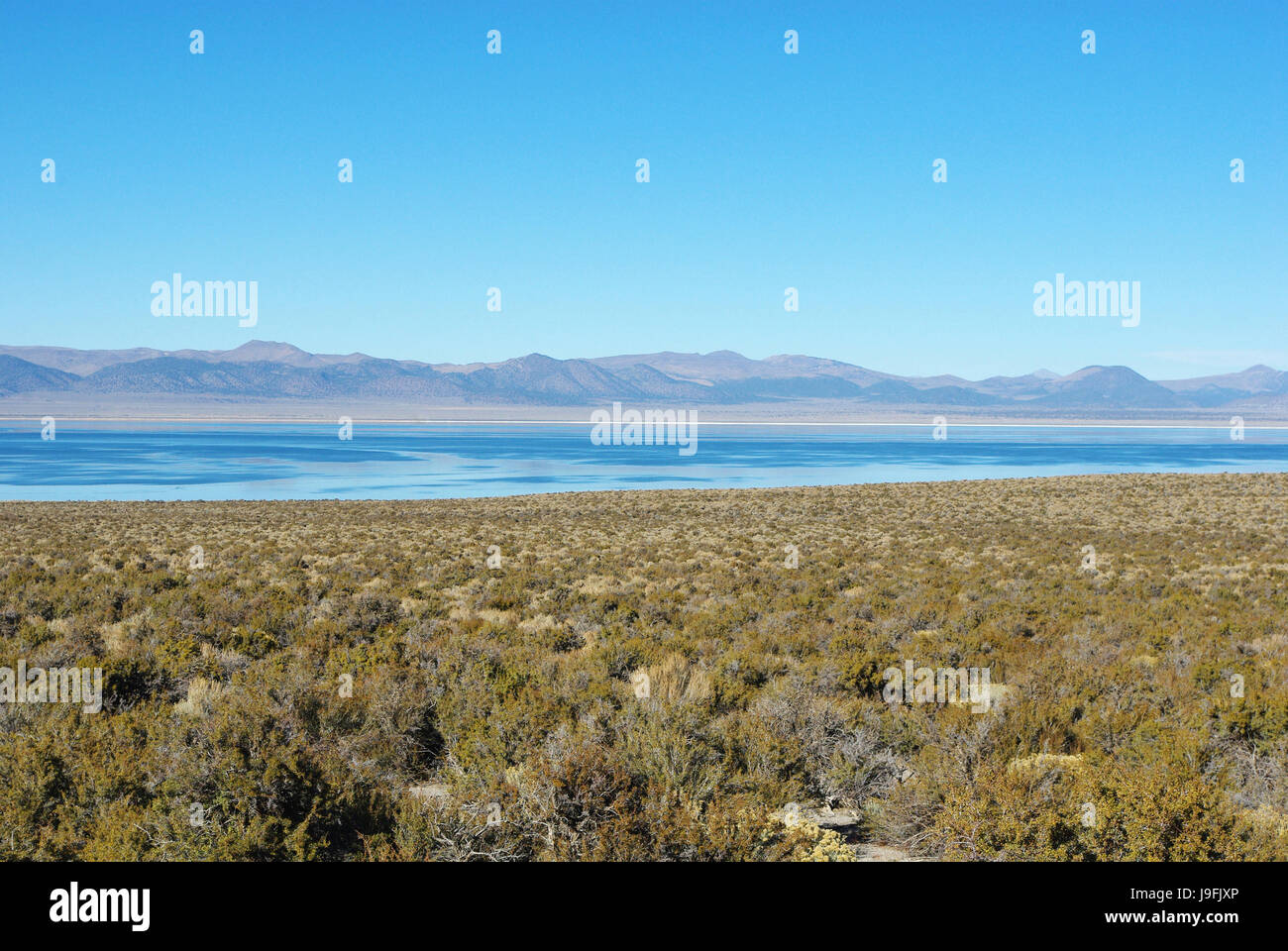 green, shrub, bush, salt water, sea, ocean, water, mountain, blue ...