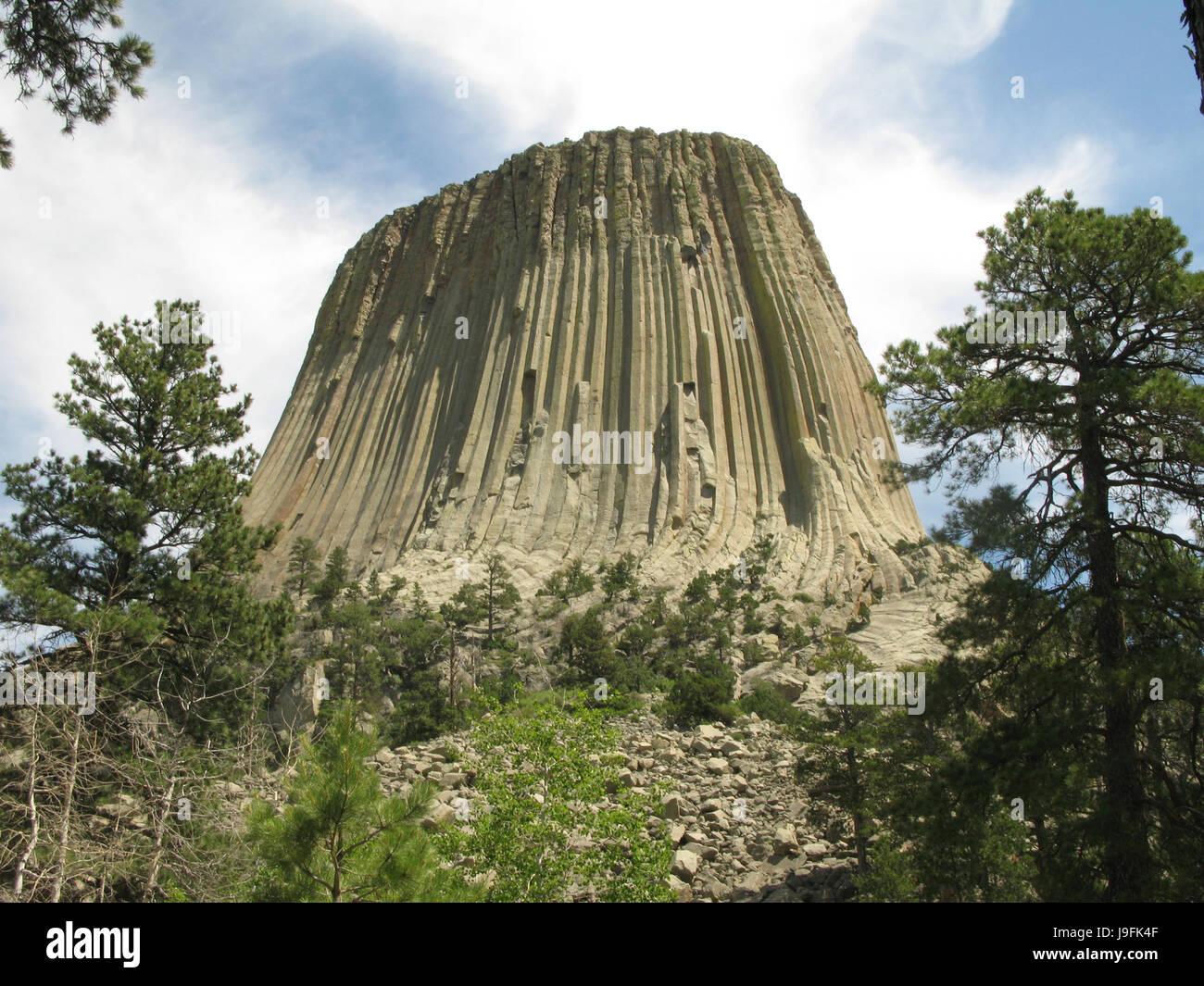 Western blue devil hi-res stock photography and images - Alamy