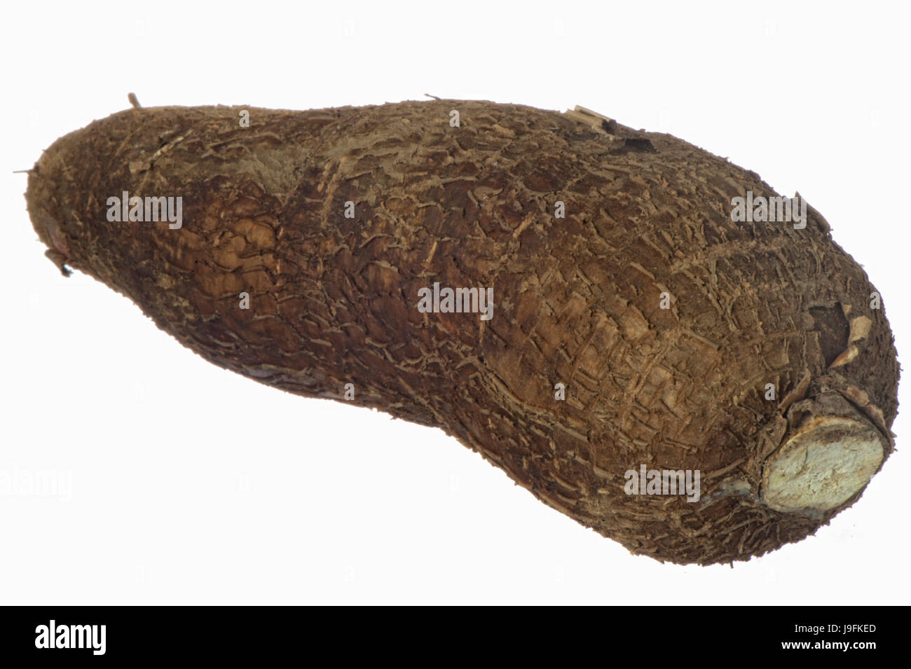 traditional, vegetable, diet, tuber, nuts, typical, tomatoes, tomatos ...