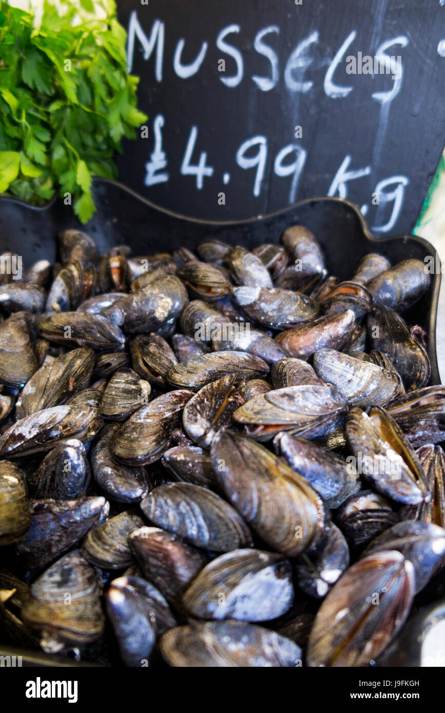 Kg price / kilogram tag board & selection of wet fish / mussels at the ...