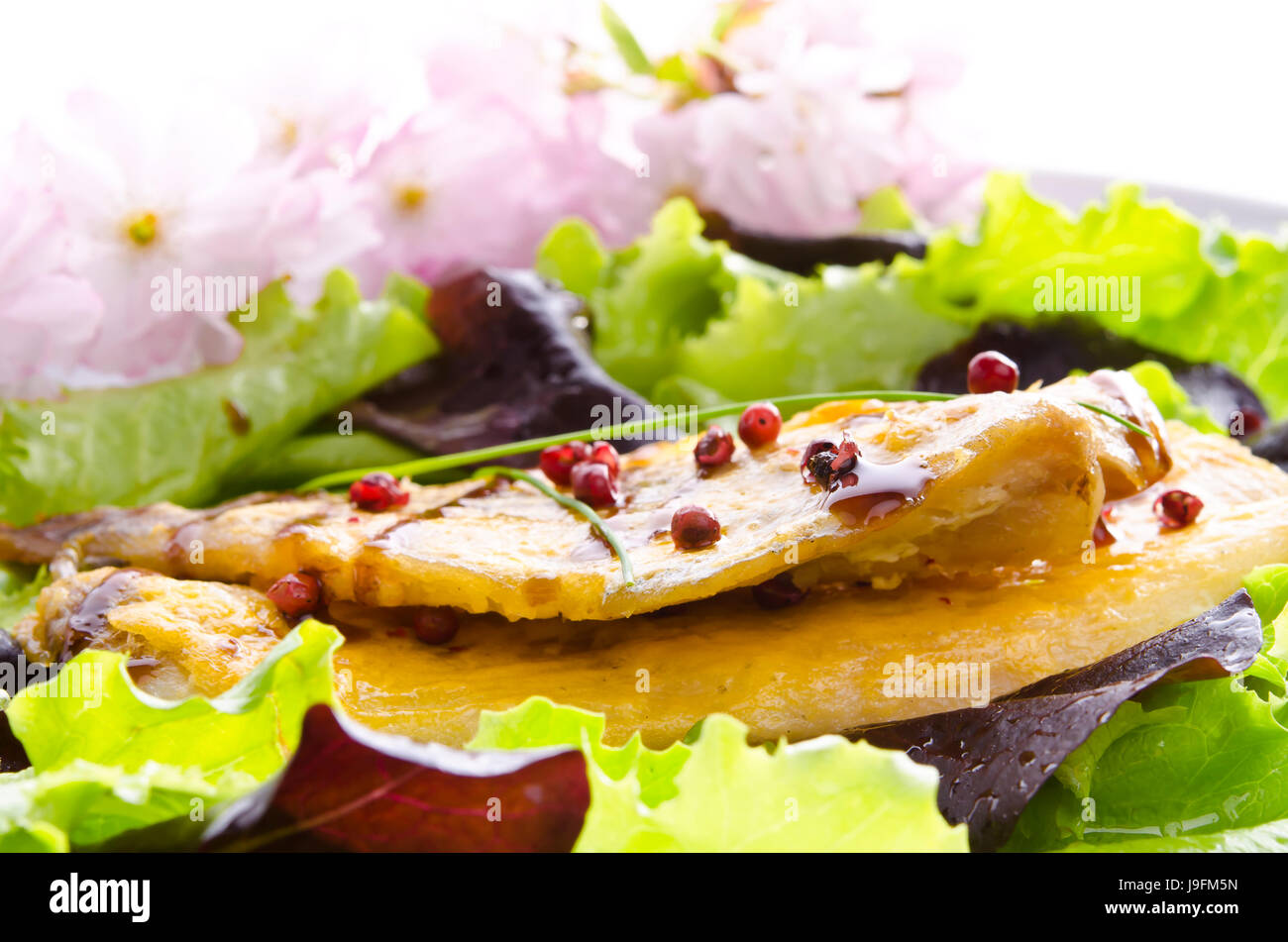 food, aliment, green, angle, fish, dish, meal, supper, dinner, white ...