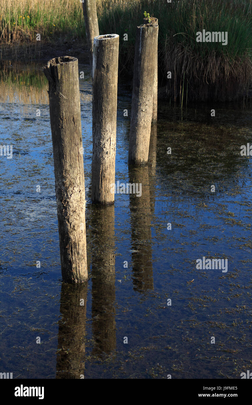 Poles Reflected in Water Stock Photo - Alamy