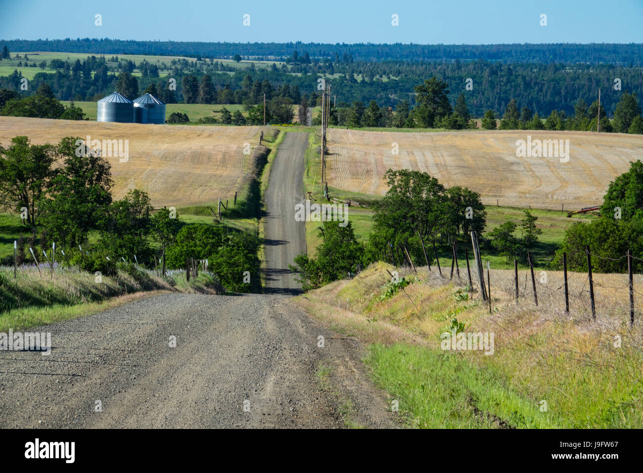 Farm fields and gravel road in Eastern Oregon Stock Photo - Alamy