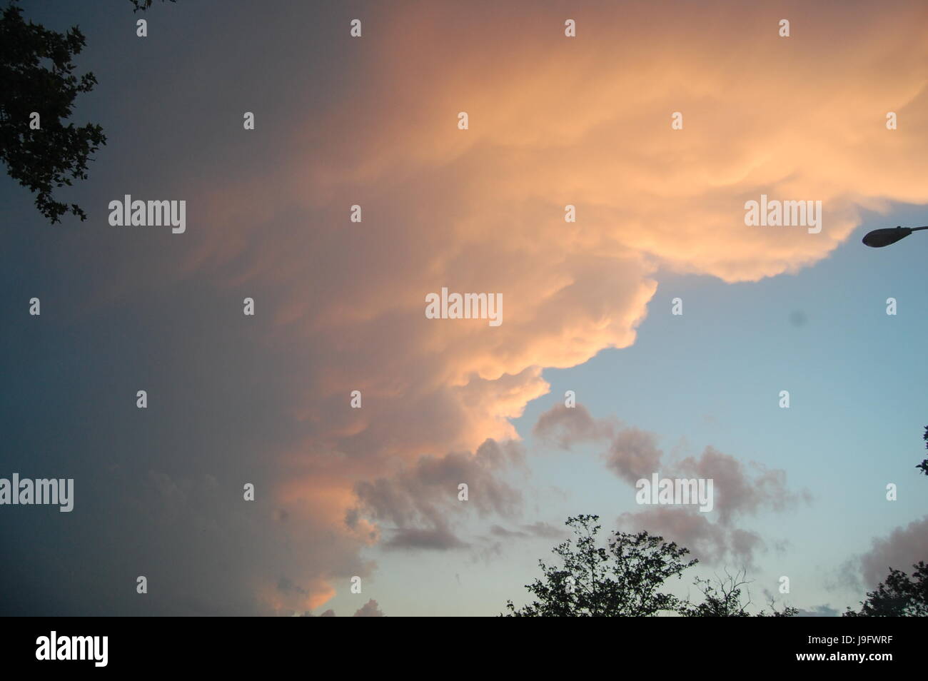 outside in beautiful nature Stock Photo - Alamy