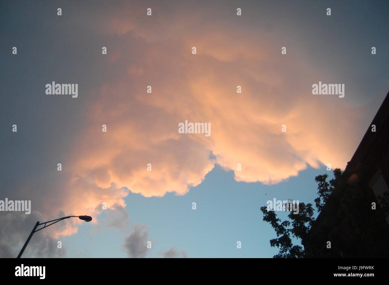 outside in beautiful nature Stock Photo - Alamy