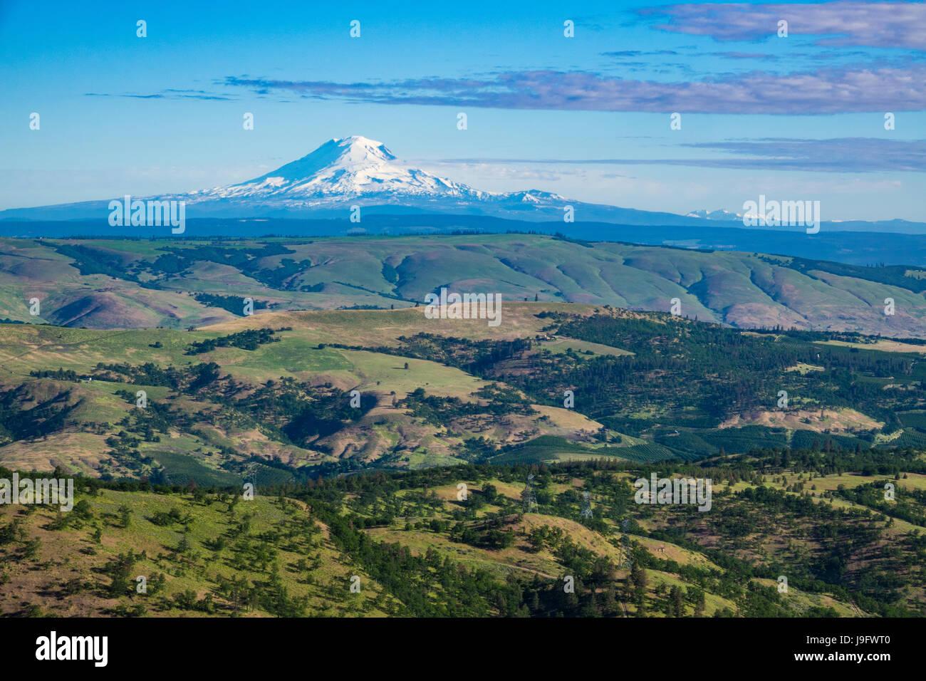 Snow-covered Mount Adams seen from Oregon Stock Photo - Alamy