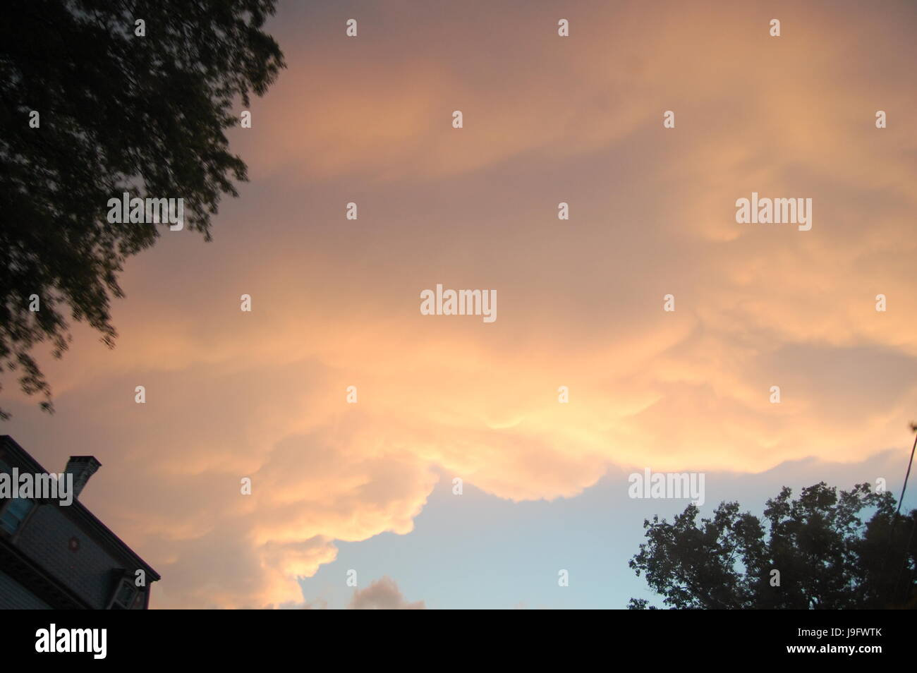 outside in beautiful nature Stock Photo - Alamy