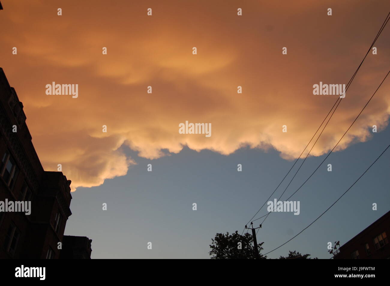 outside in beautiful nature Stock Photo - Alamy