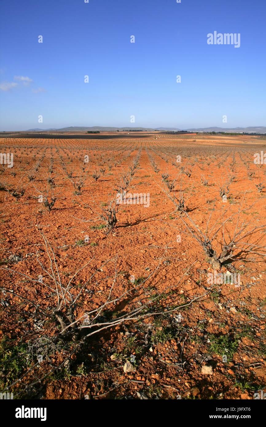 blue, leaf, tree, industry, ground, soil, earth, humus, leaves ...