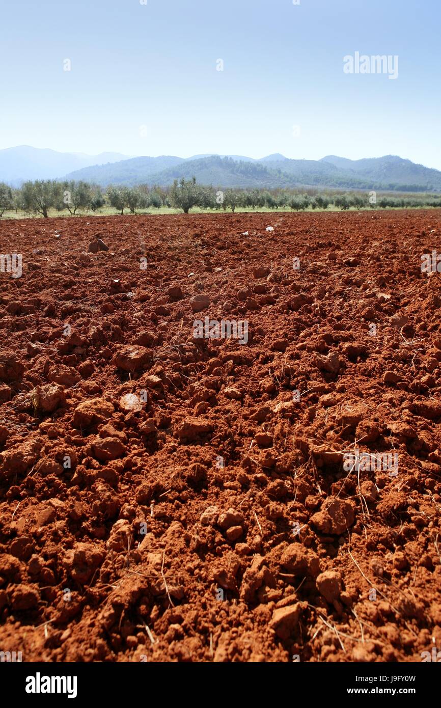 blue, colour, tree, trees, mountains, horizon, desert, wasteland ...
