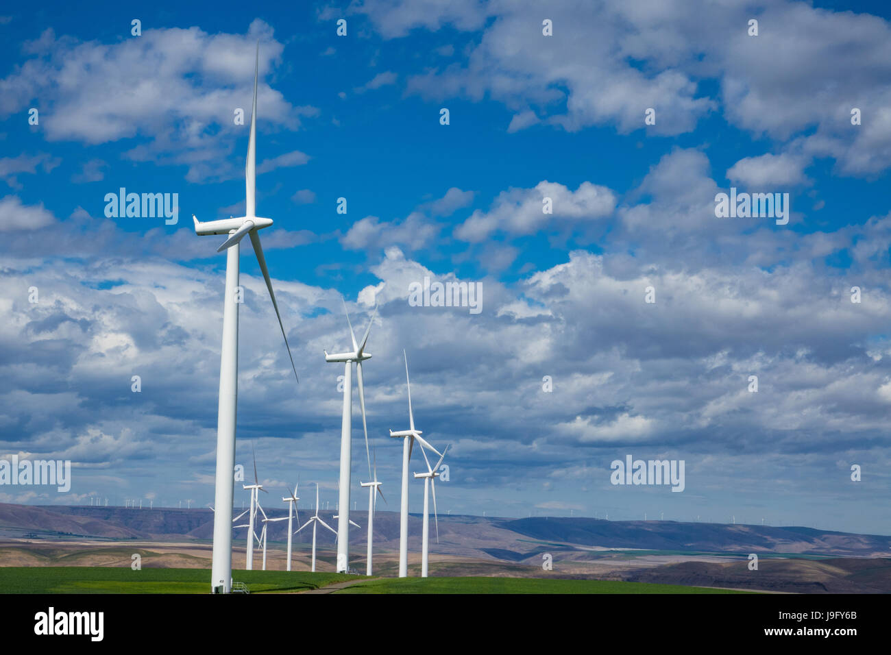 Wind turbines rising above wheat fields in Eastern Oregon Stock Photo ...