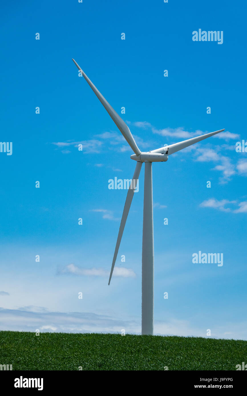 Single white wind turbine rising in a blue sky Stock Photo - Alamy