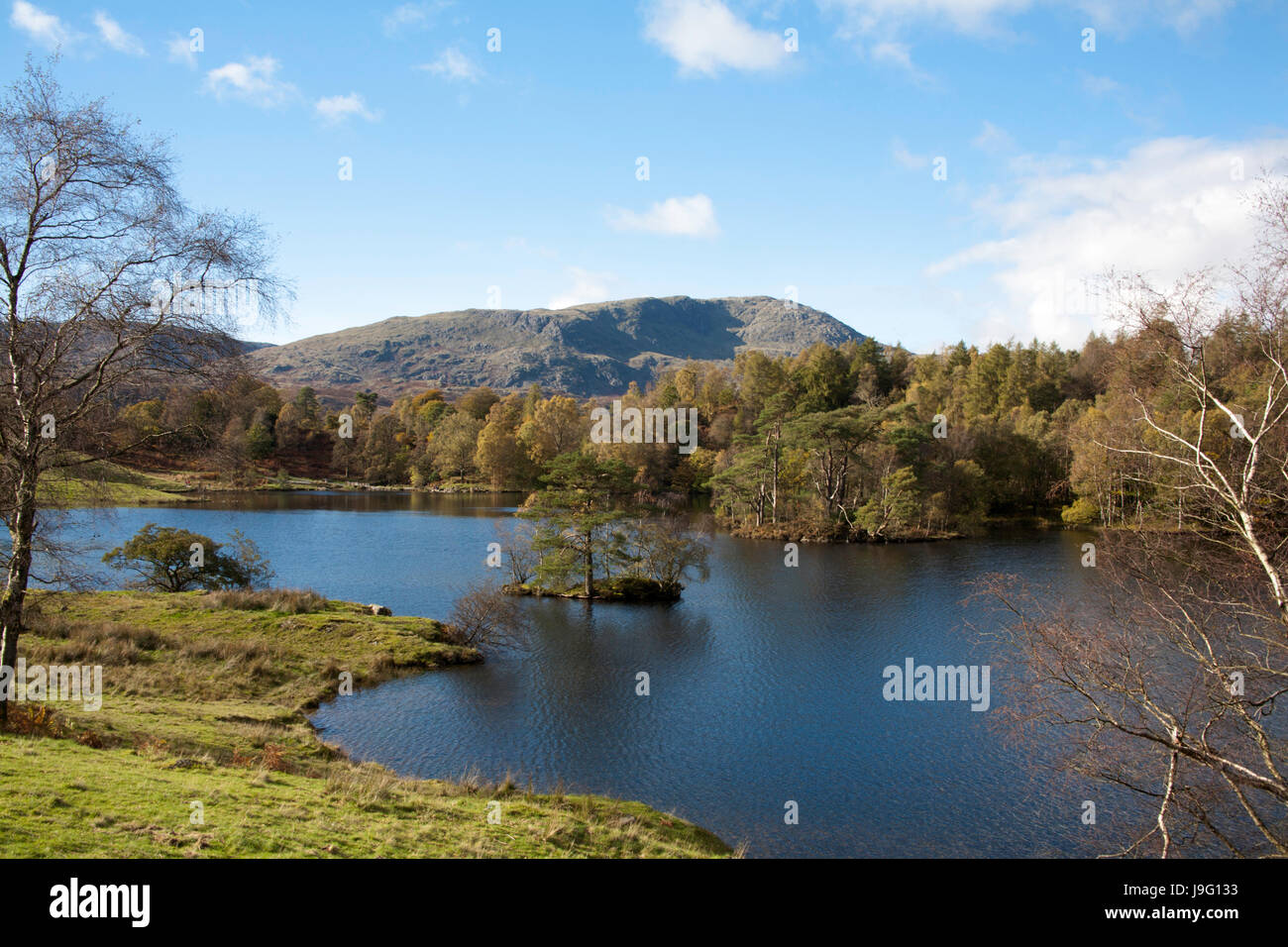 Tarn Hows on a bright Autumn day Old Man of Coniston and Wetherlam in ...